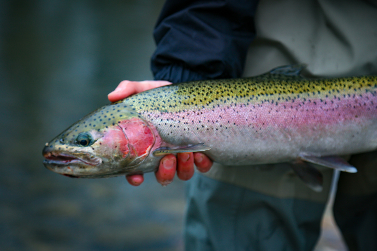 Fishing - Crater Lake